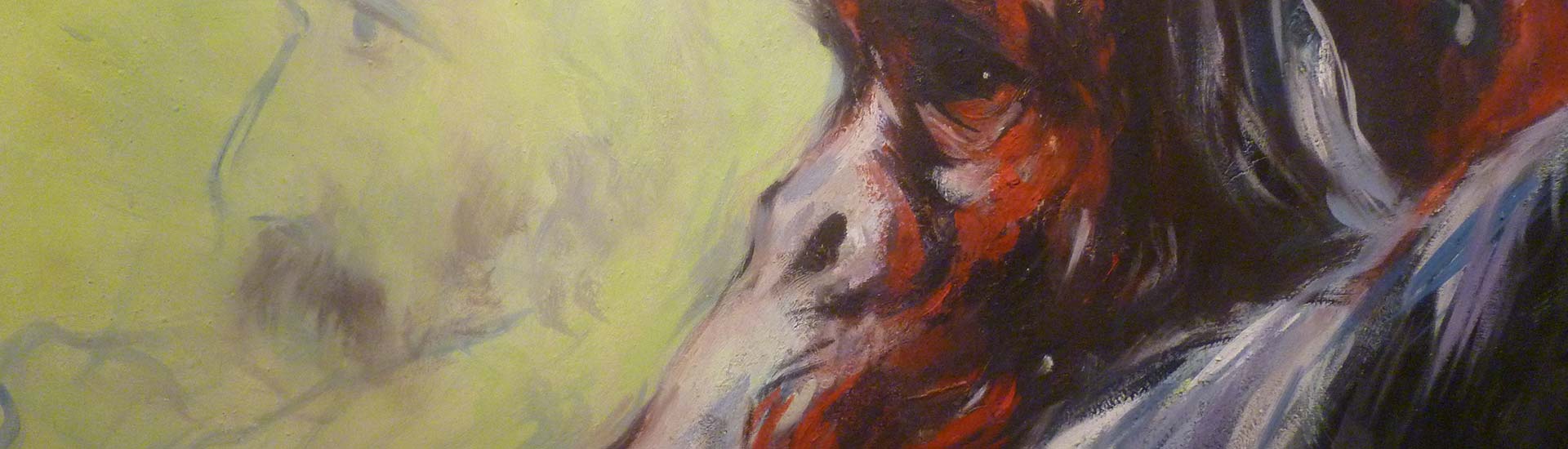 Ape Hero – Croeni Charity